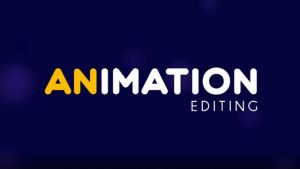 Triggerfish Academy – triggerfish-academy