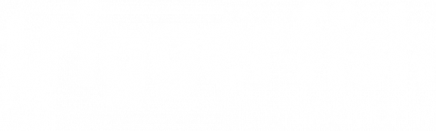 Triggerfish Academy – triggerfish-academy