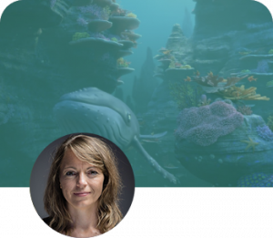 EXPERTS – Triggerfish Academy