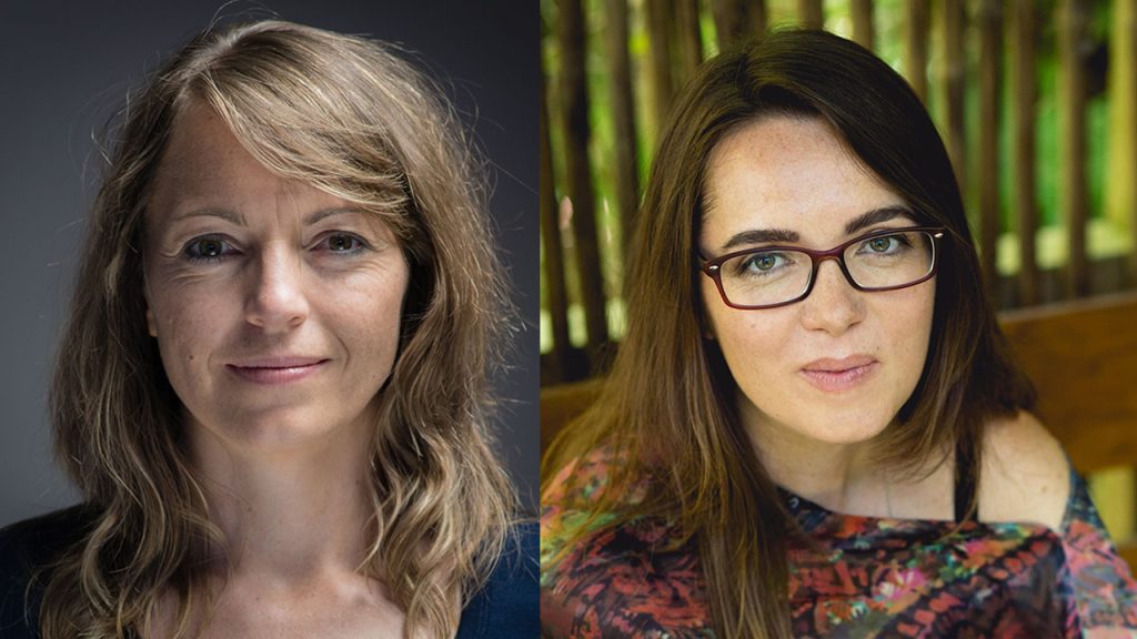 Courses – Triggerfish Academy